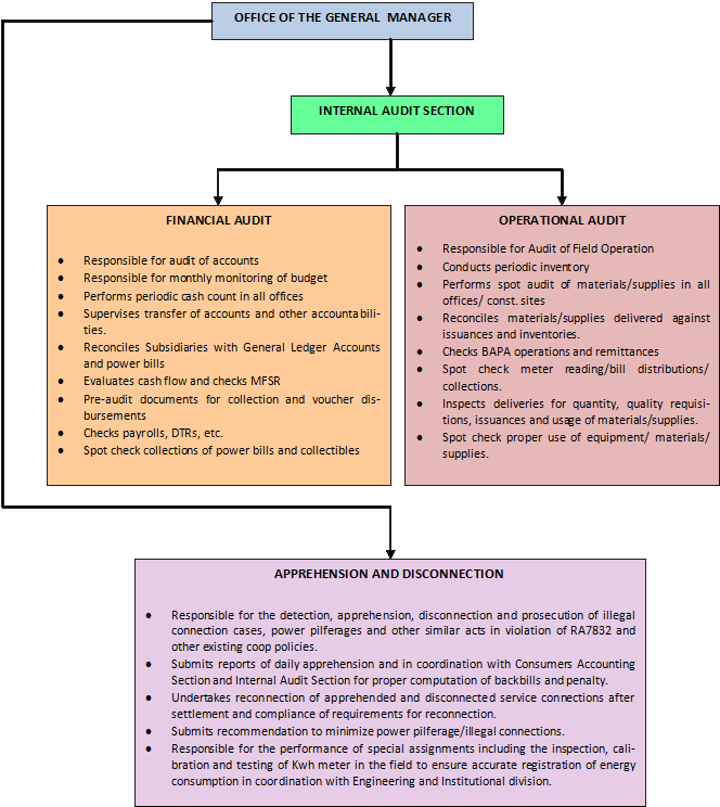 Internal Audit Section | QUEZELCO II Official Website | Infanta | Quezon